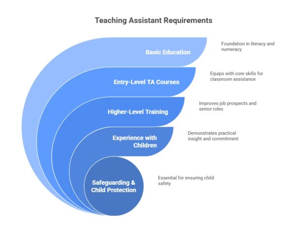 What Qualifications Do You Need to Be a Teaching Assistant in the UK?